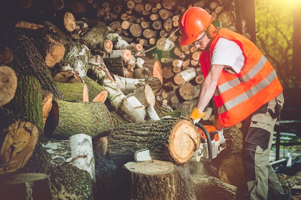 Tree Care Business Strategy: All Four Seasons - Arborgold