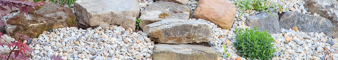 A List of Everything to Include in a Landscape Proposal