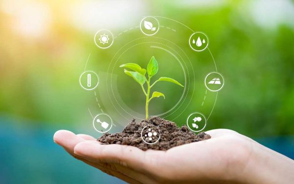 What is Sustainable Landscaping Management? (Definition & Examples)