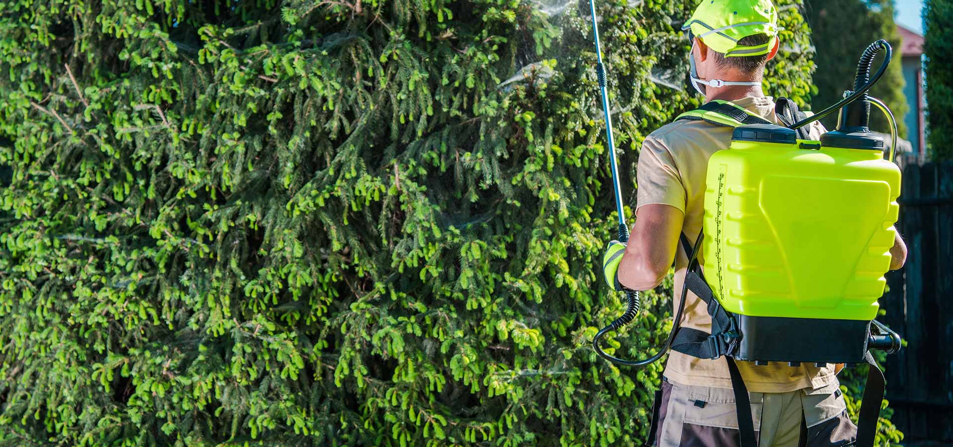 Enhance Your Tree Care Business with Plant Health Care Program ...