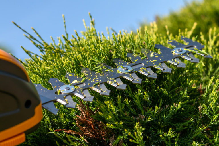 Top 5 Battery Powered Commercial Trimmers - Arborgold
